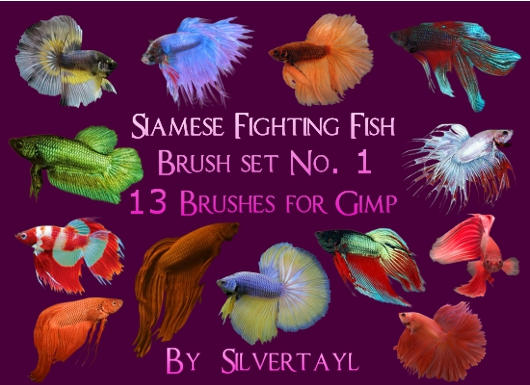Siamese Fighting Fish Set 1 by Silvertayl on DeviantArt