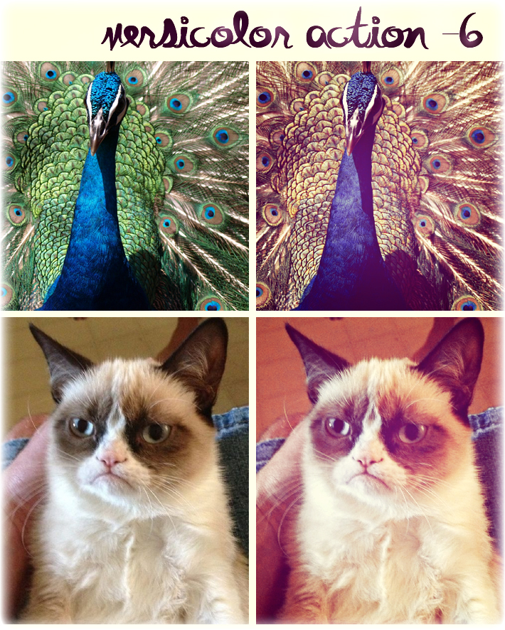 All Resources Deviantart