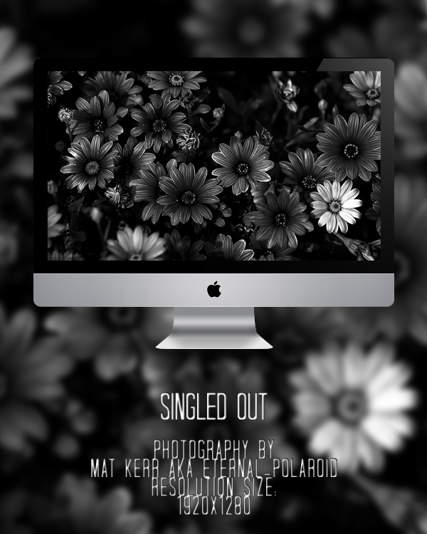 Singled out Wallpaper Version by Eternal-Polaroid on DeviantArt