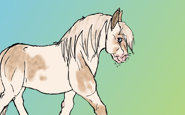 Dream pony by RiverView-Equestrian on DeviantArt