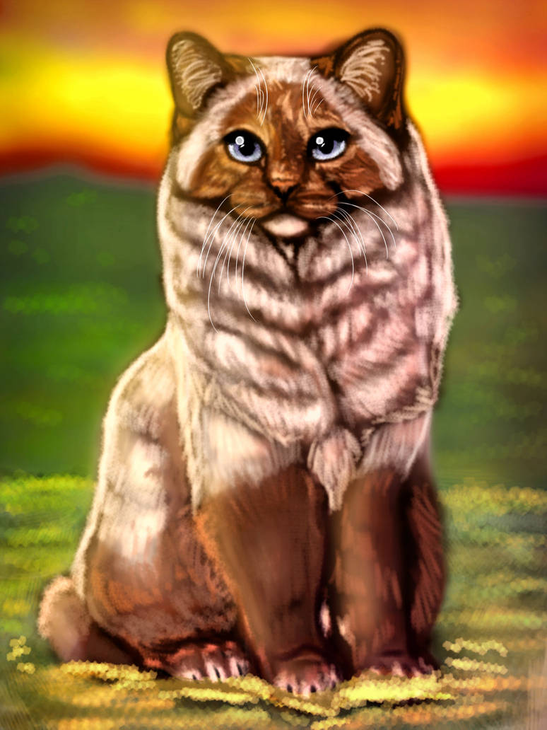 scenes from blogclan - 1 by magic-pistachio on DeviantArt