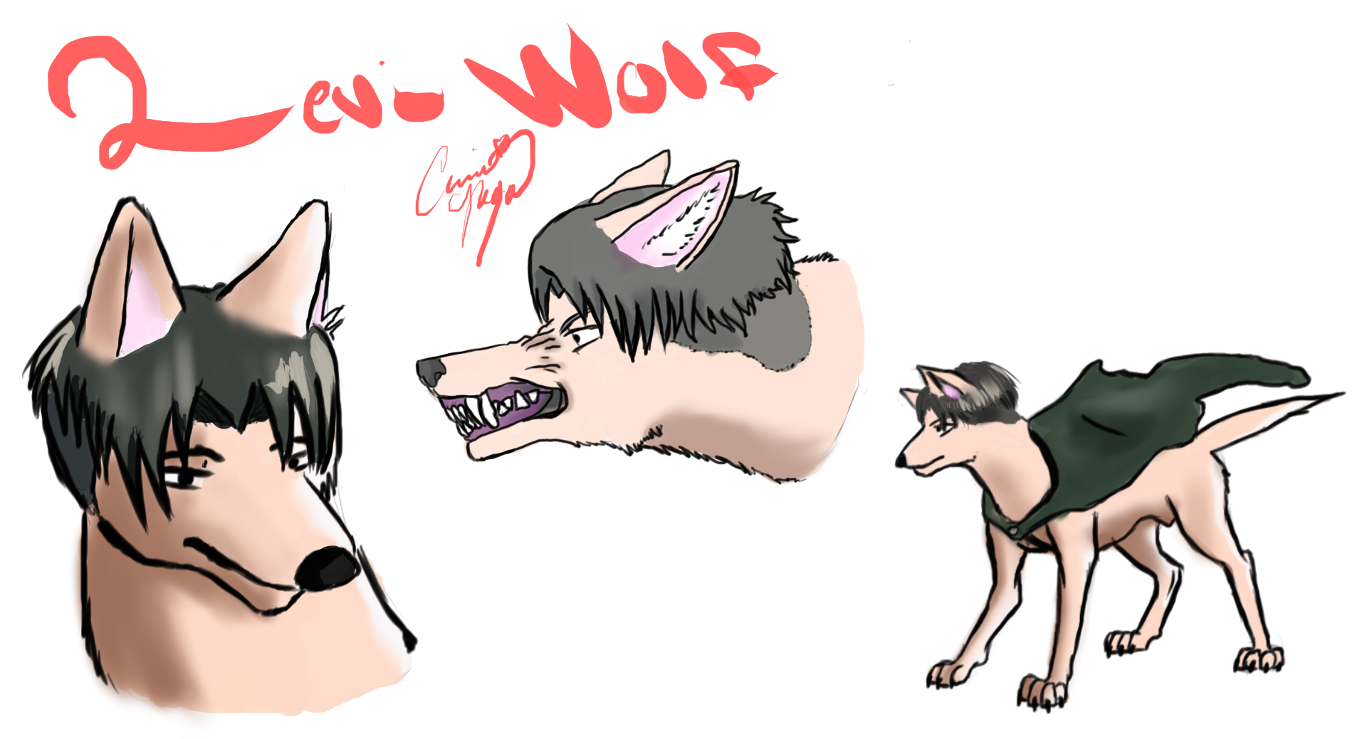 Levi Wolf!!!! by CarrilRego on DeviantArt