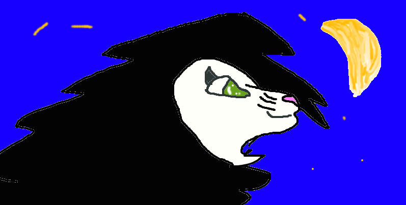 Wheezy the cat. by wheezy8aj on DeviantArt