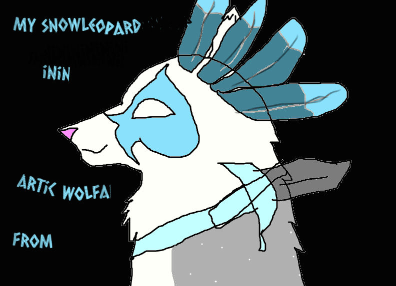 My snowleopard in artic wolf from by wheezy8aj on DeviantArt