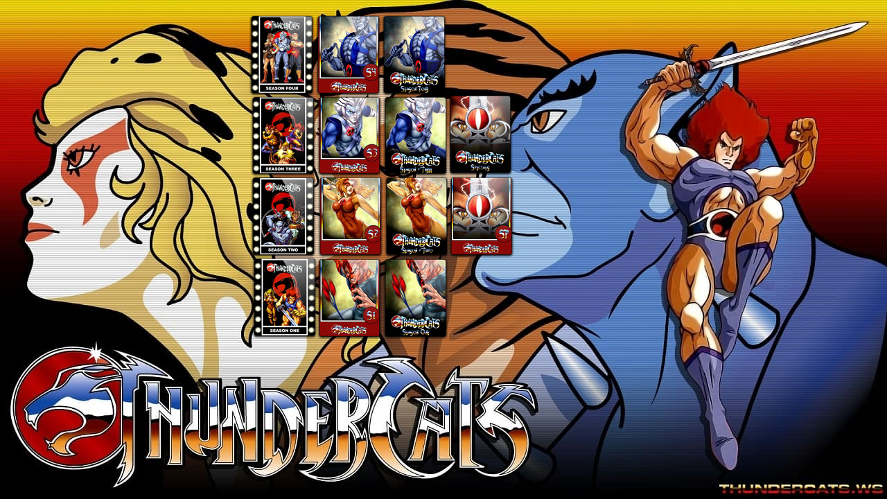Thundercats Season Box Style by rajeshinfy on DeviantArt