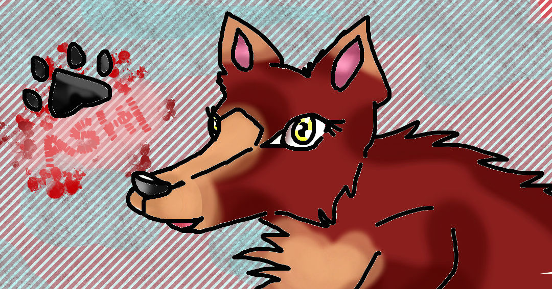 ASHI WOLF by mimar79 on DeviantArt
