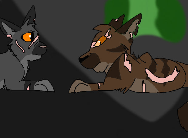 Staredown by Smokestarrules on DeviantArt