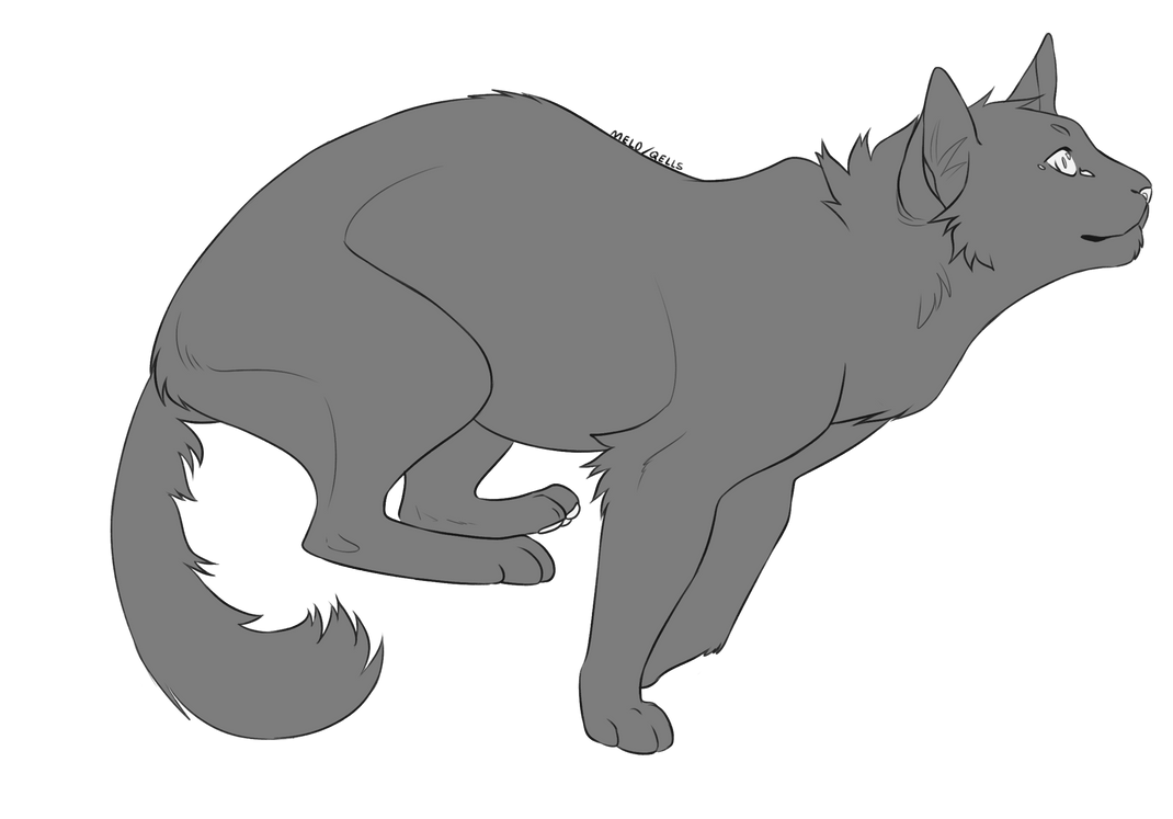 free cat lineart/base by qells on DeviantArt free cat lineart/base by qells on DeviantArt