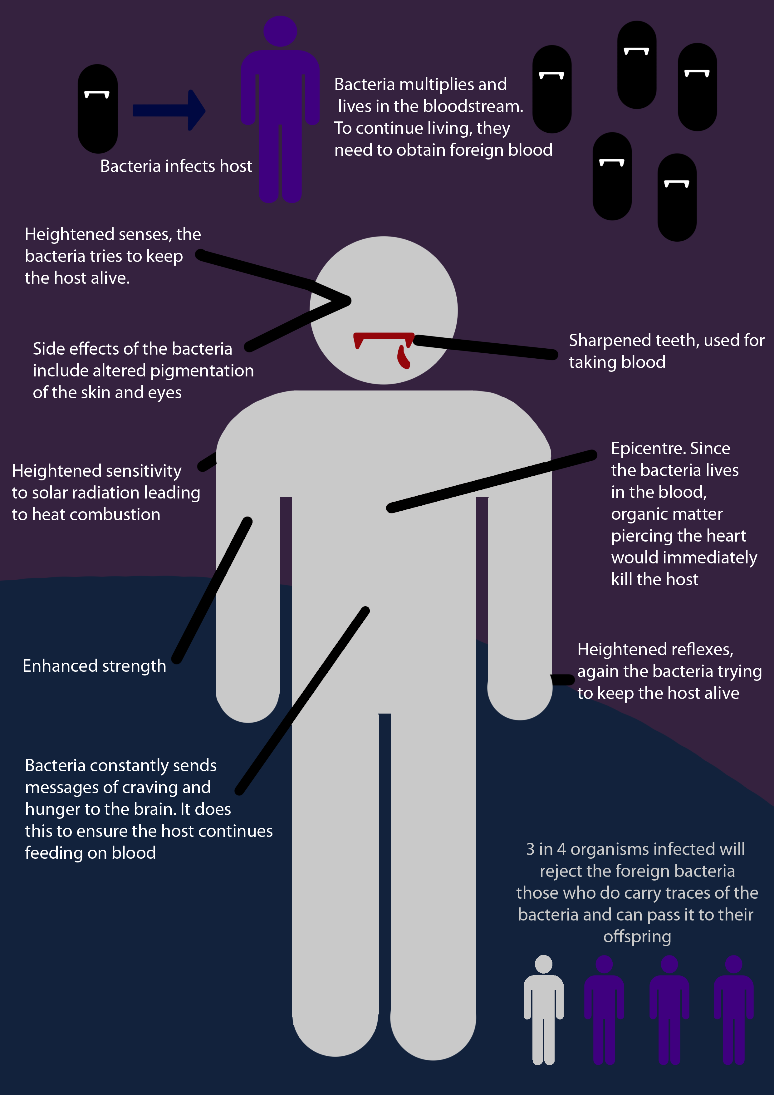 Vampire Infographic by H3rbs on DeviantArt