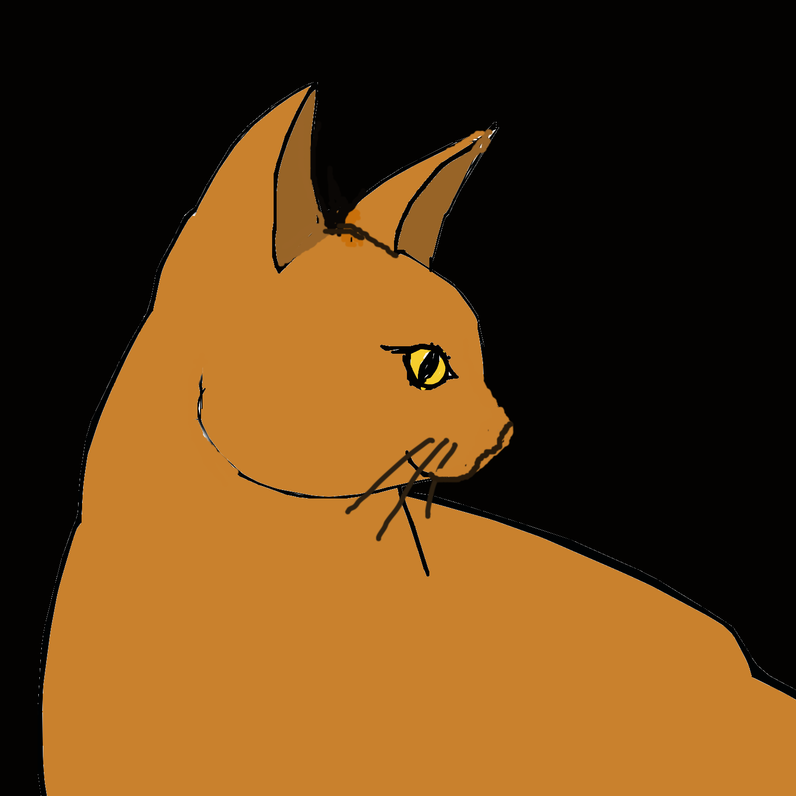 Perry the Cat by katiejo911 on DeviantArt