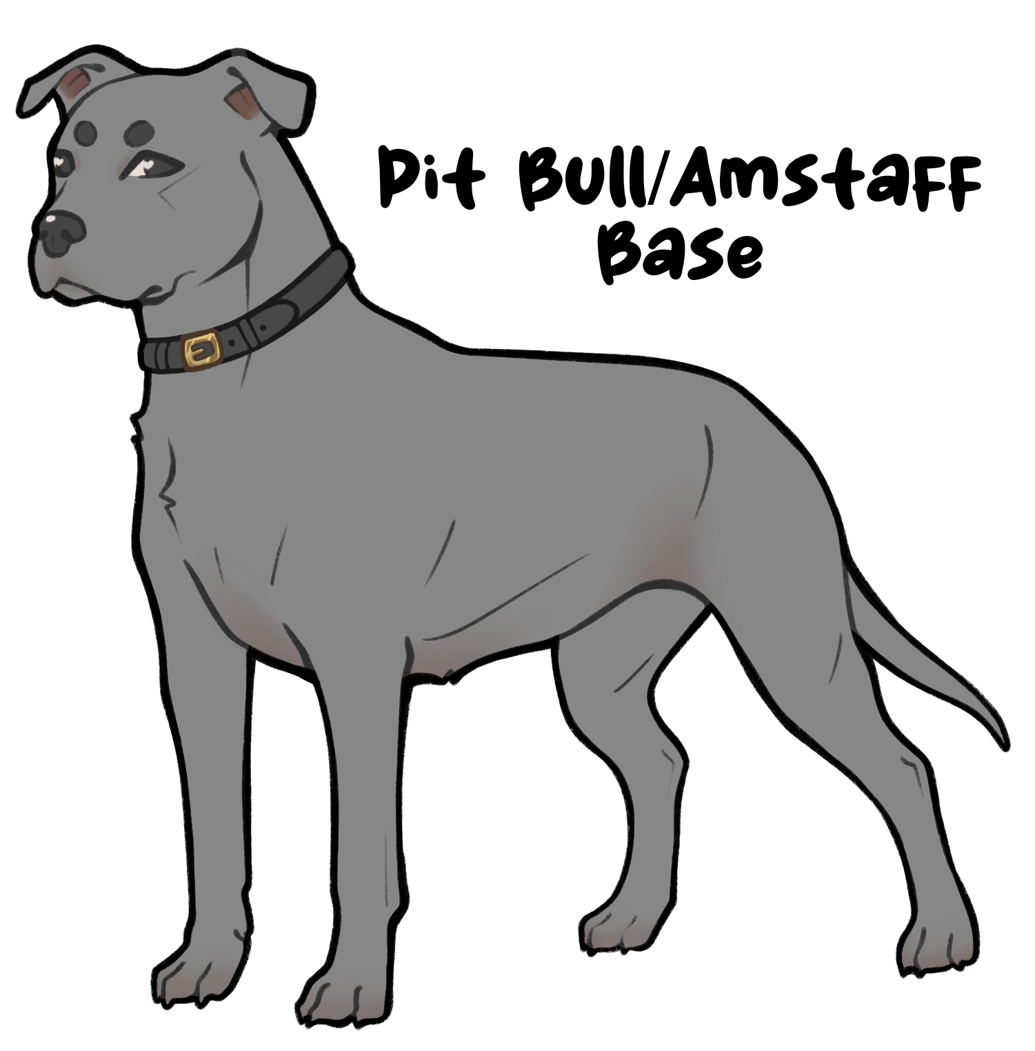 APBT / AmStaff Base by mariposa-acres on DeviantArt