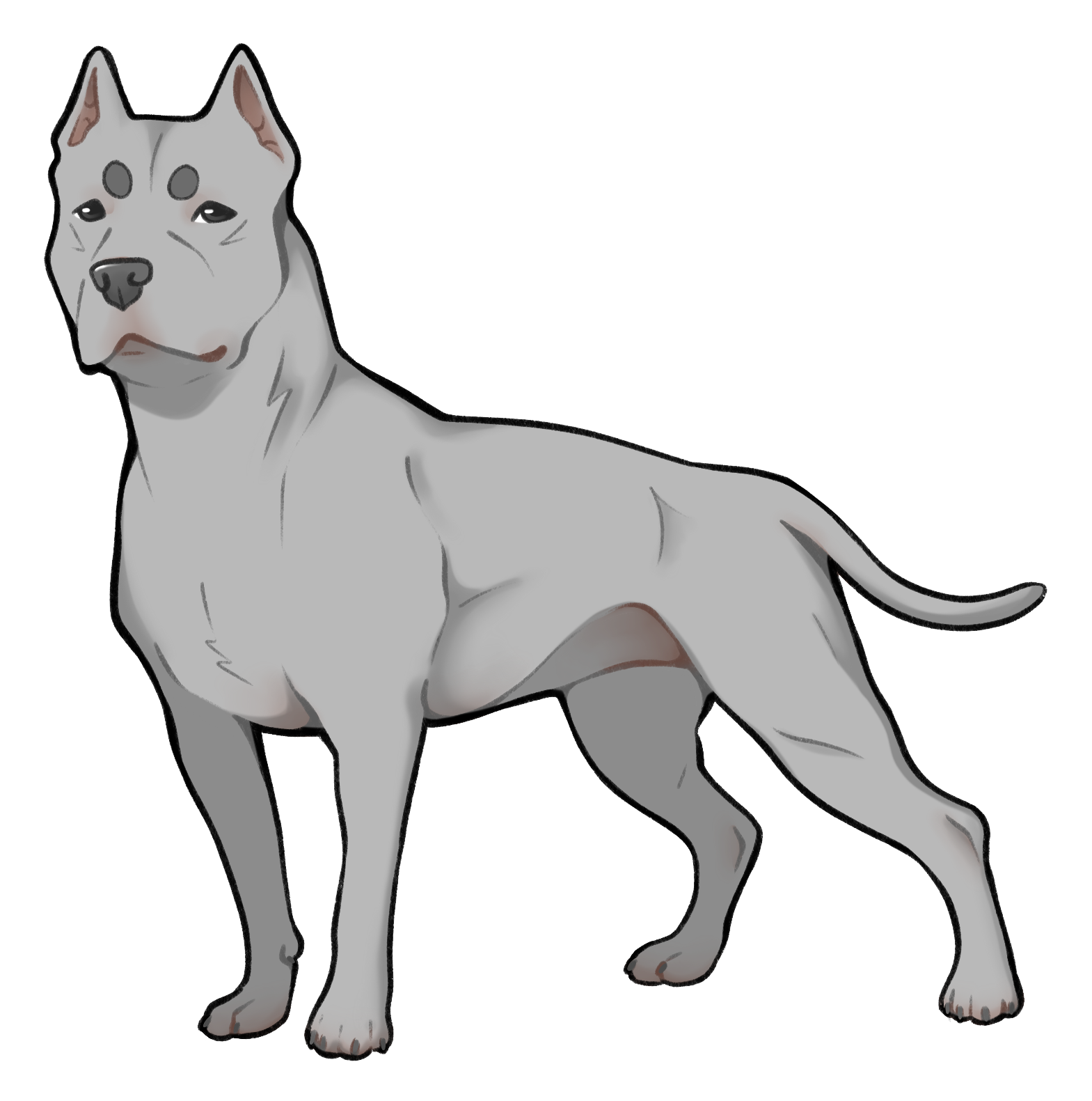 Classic American Bully Base (F2U) by mariposa-acres on DeviantArt