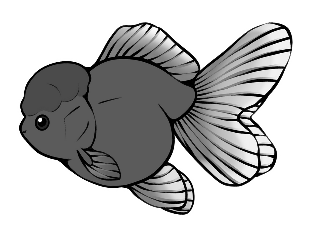 Oranda Base (F2U) by mariposa-acres on DeviantArt