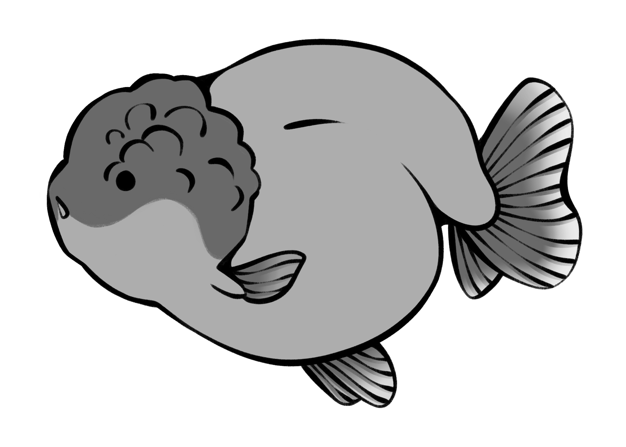 Ranchu Base (F2U) by mariposa-acres on DeviantArt