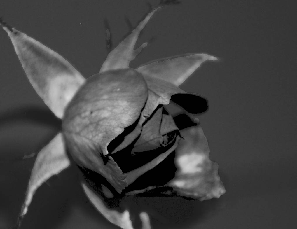 Unfortunate Love by yukilover00 on DeviantArt