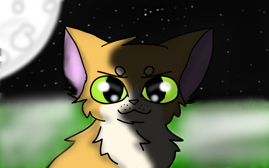 Liam by animaldrawings480 on DeviantArt