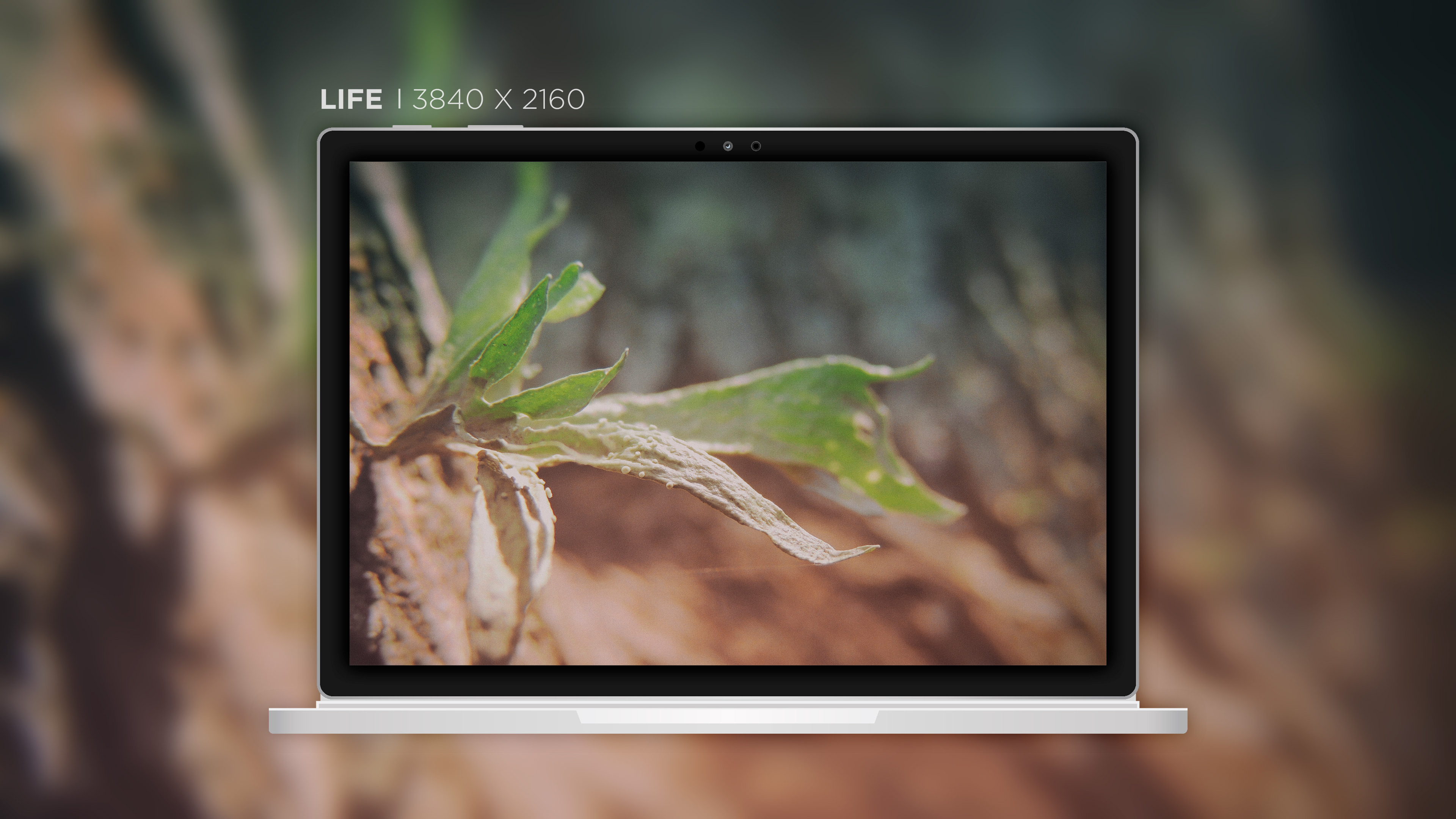 Life - 4K Wallpaper by Heraklian on DeviantArt