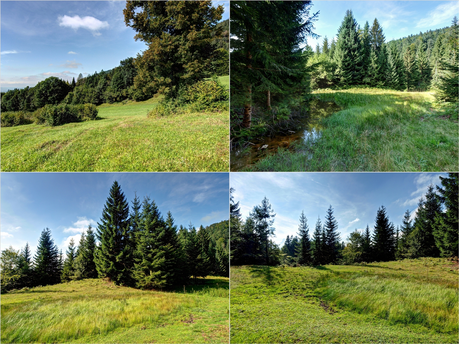 Meadows With Trees Stockpackage by Burtn on DeviantArt