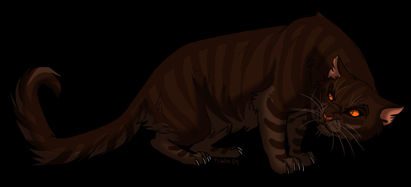 Brokenstars final death by warrior-cat-poet on DeviantArt