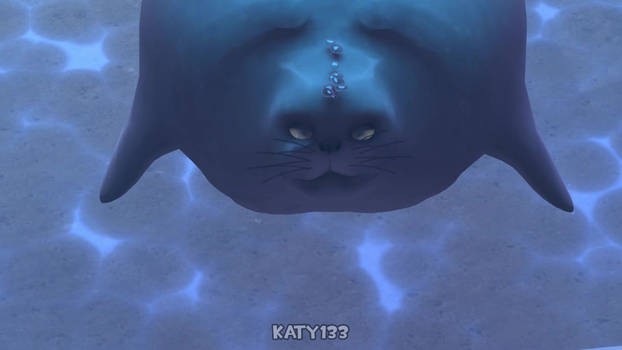 Katy133 - Professional, Filmographer | DeviantArt