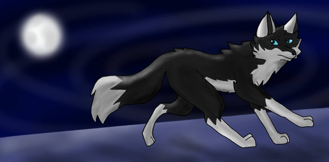 Midnight Fox by UltraLatias on DeviantArt