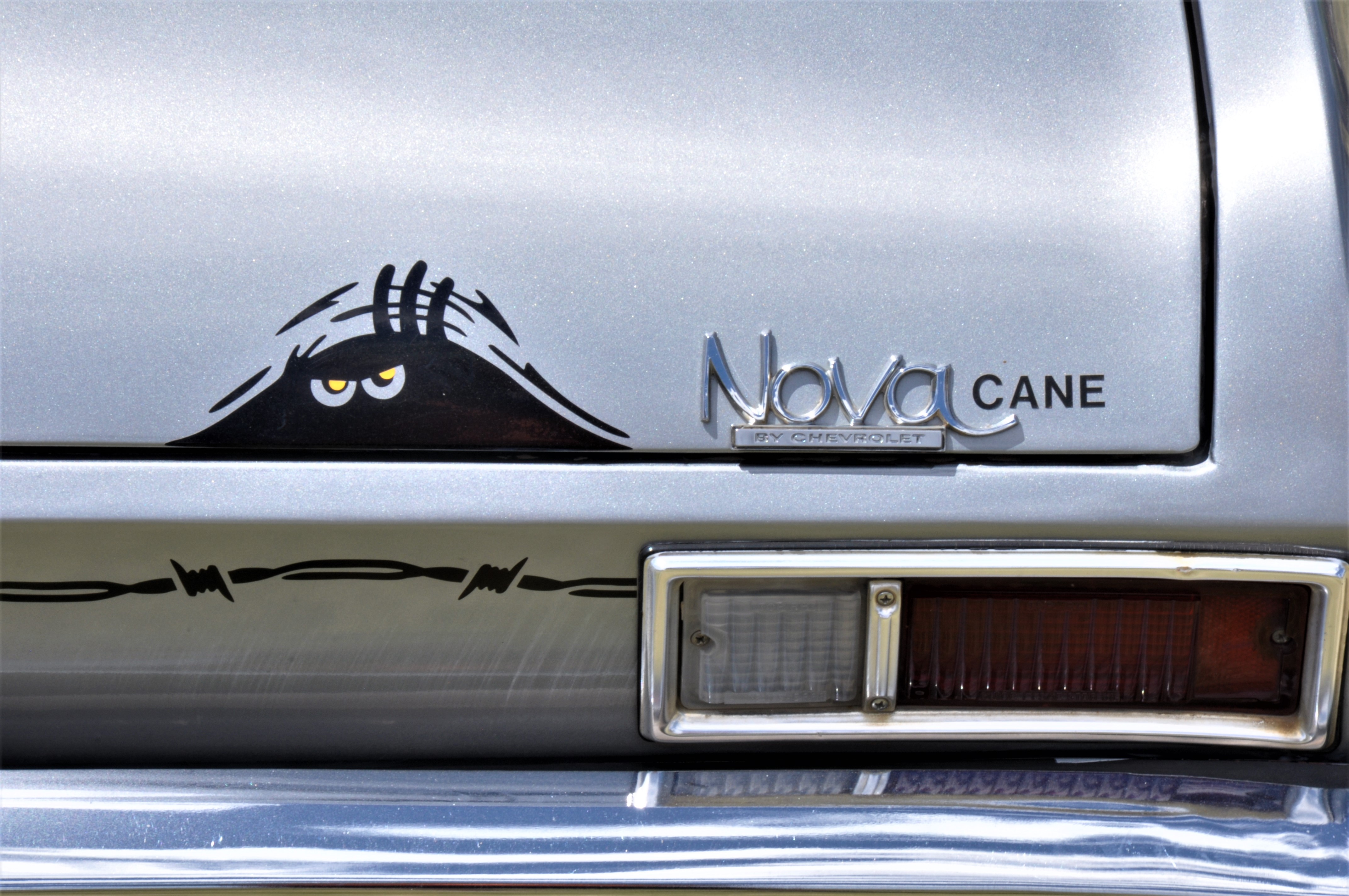 Raising Cane by Michaeldavitt on DeviantArt