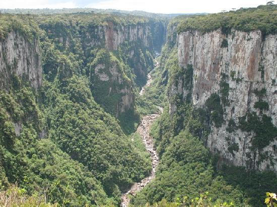 Wolf pack map WIP by wildheartwolves on DeviantArt