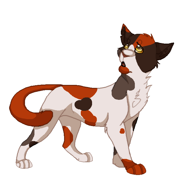 Redtail by AcidPumpkin on DeviantArt