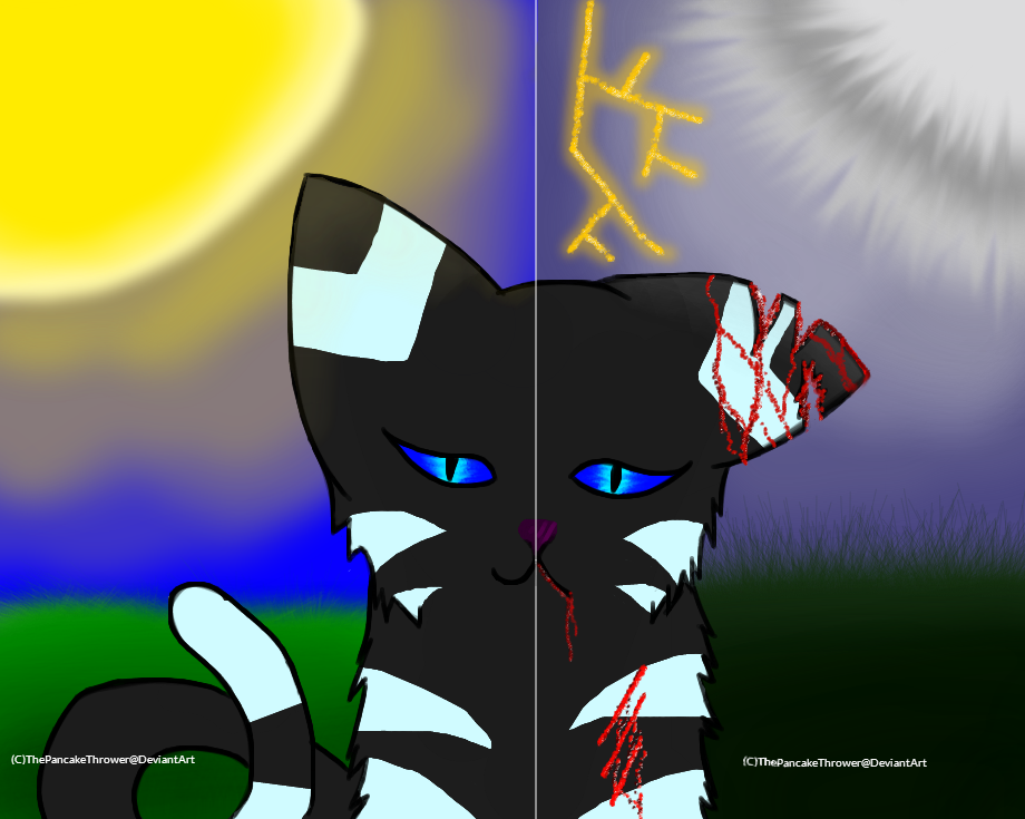 ShadowClaws Different Sides by ThePancakeThrower on DeviantArt