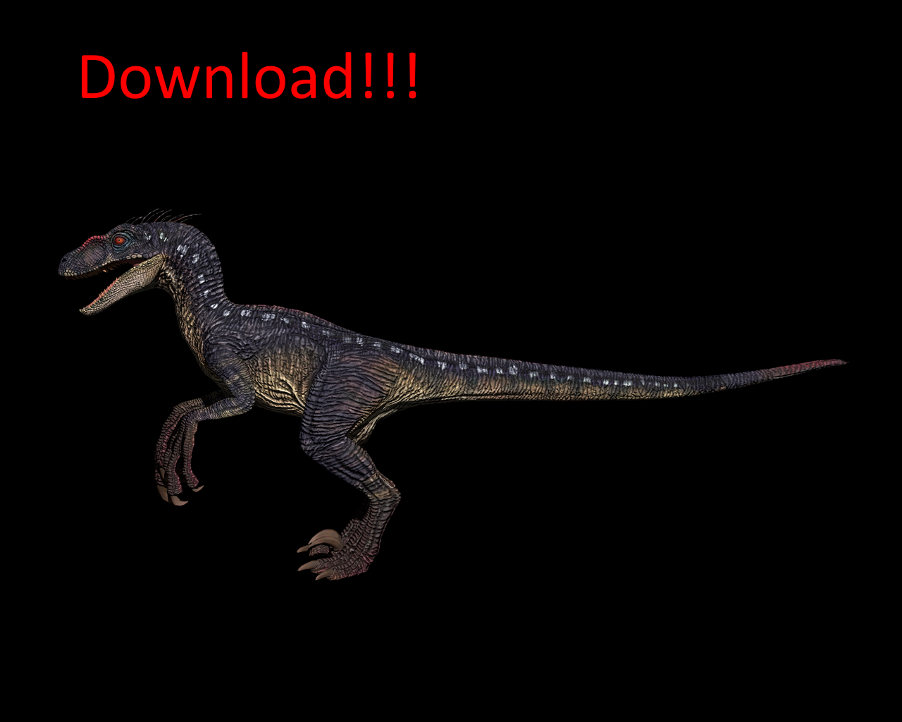 Raptor Male With Spots (Blender and Cinema4D) by Groxyraptus-rex on ...