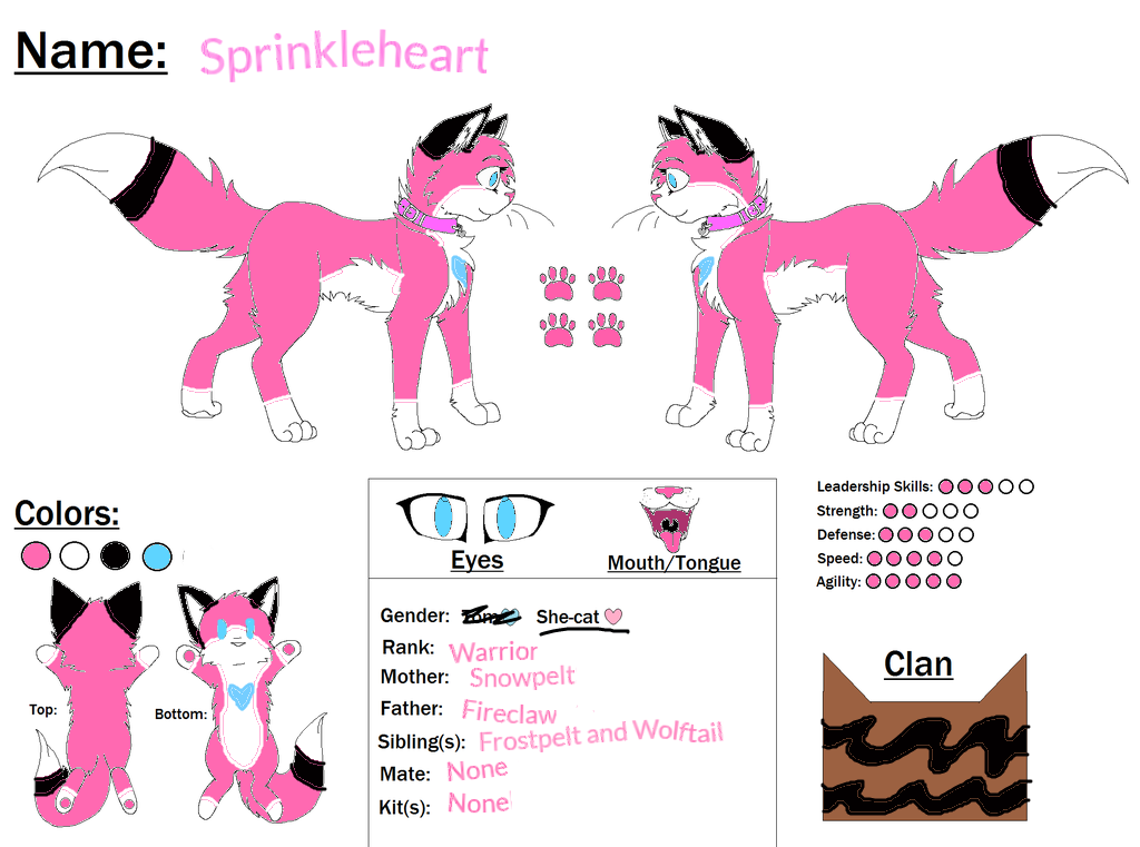 Warrior cat Sprinkles by sprinklesfoxie on DeviantArt