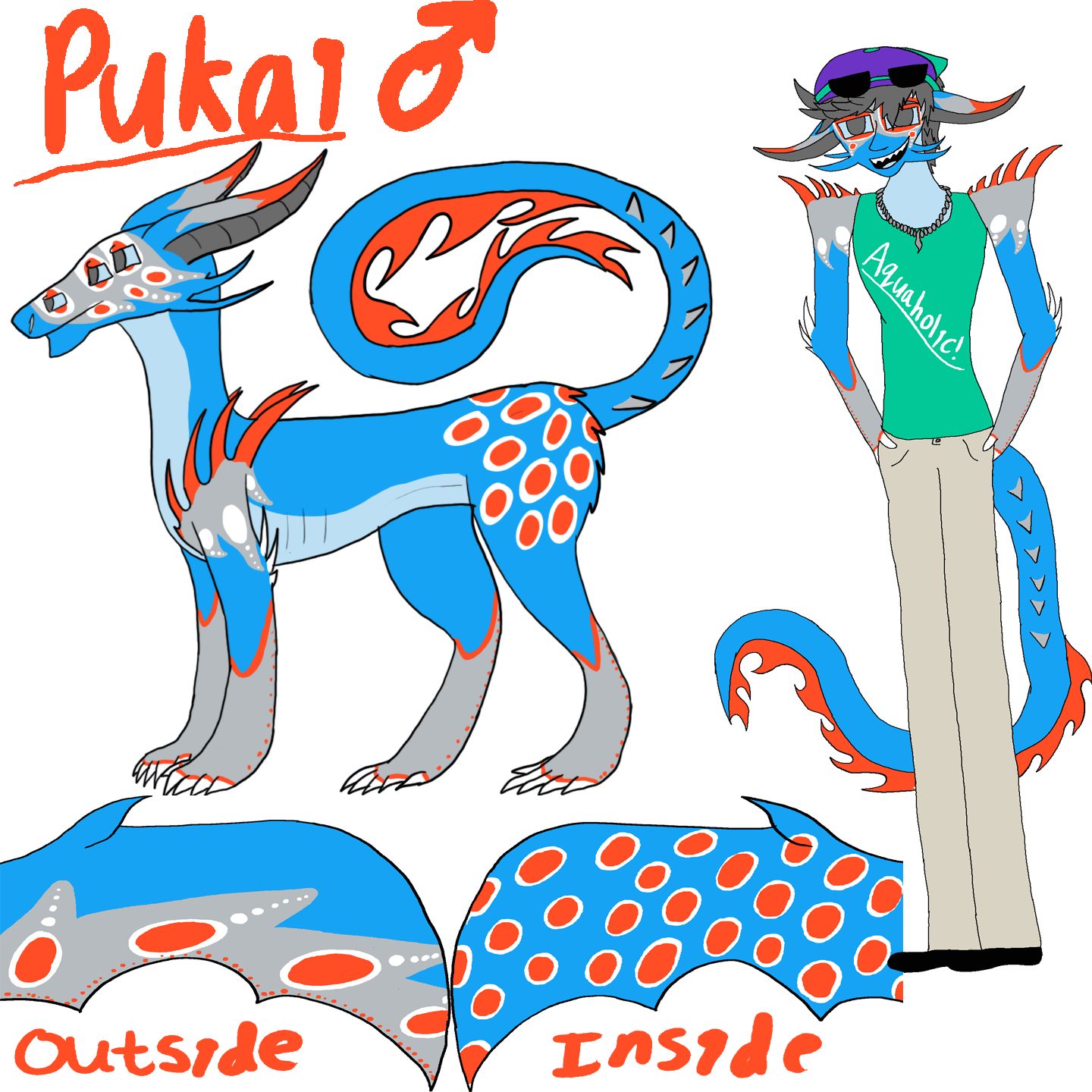 Pukai Ref by MajorWolfy on DeviantArt