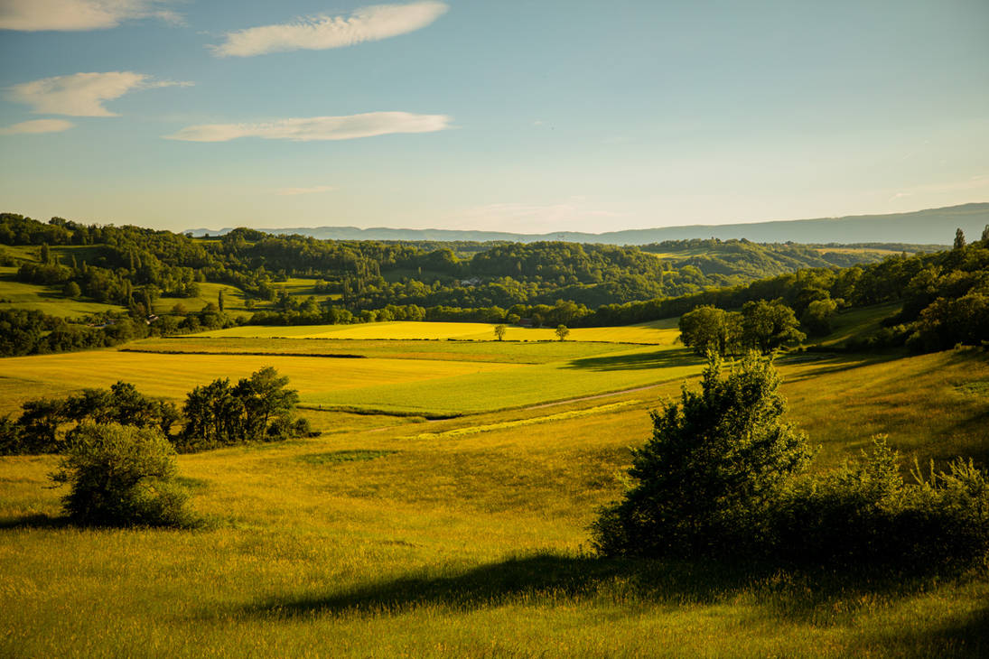 Shrubs and Fields by MountainSkald on DeviantArt