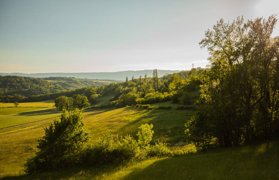 Hedgerows by MountainSkald on DeviantArt
