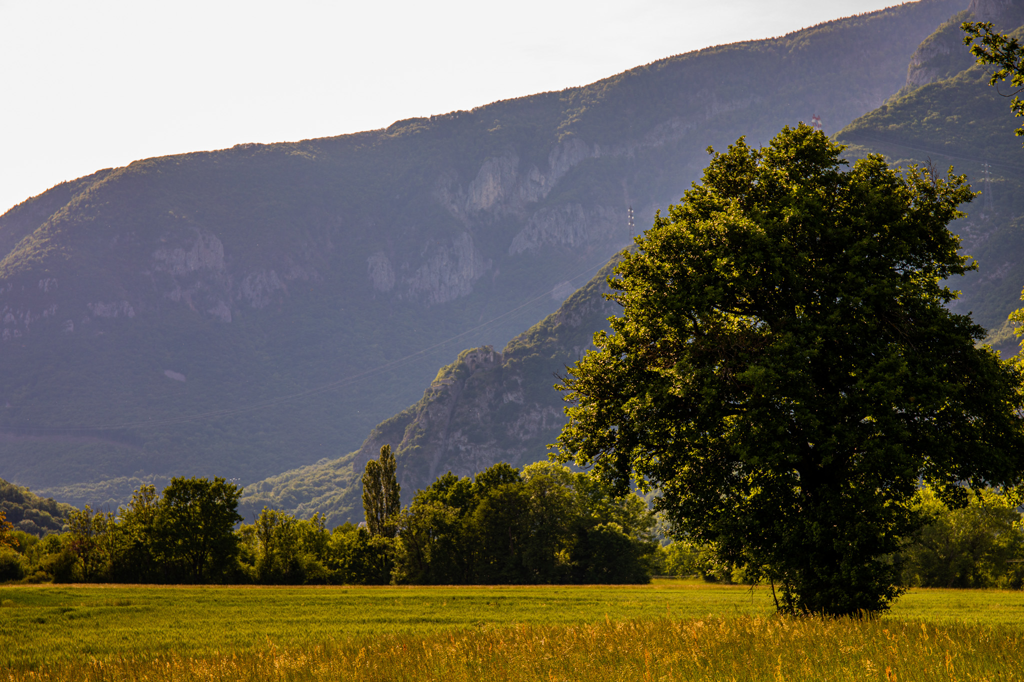 Lone Tree by MountainSkald on DeviantArt