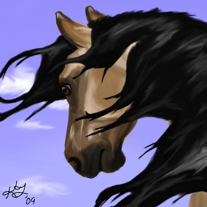 Horse Sky by Indybreeze on DeviantArt