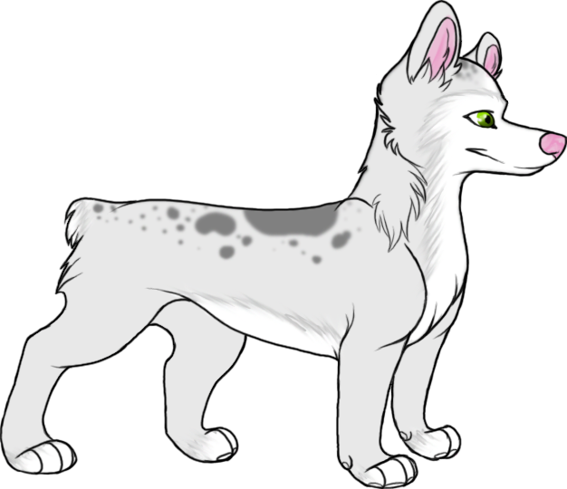 Corgi Template. by TrixTheDog on DeviantArt