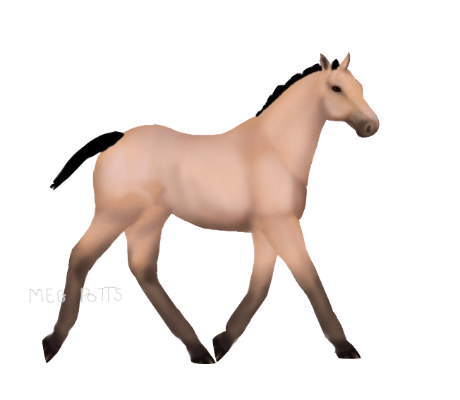 Megans Snafflez Horse by HorseFreak2000 on DeviantArt