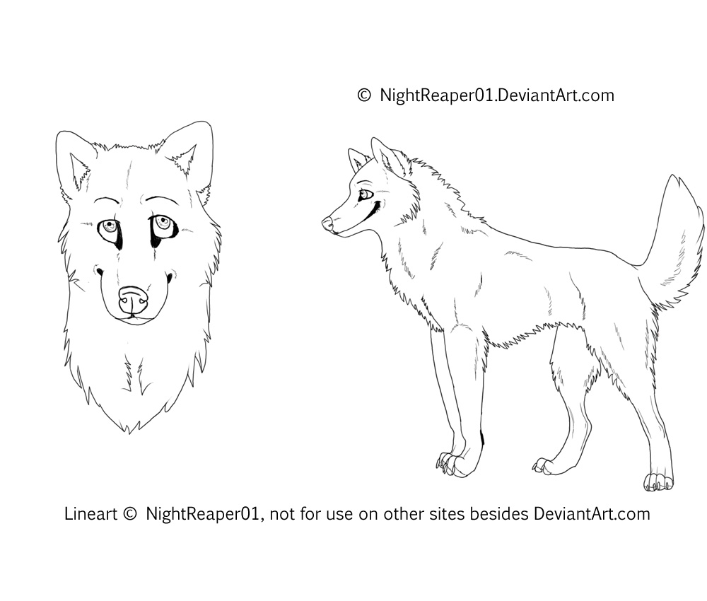 Wolf Lineart- SEE DESCRIPTION by NightReaper01 on DeviantArt