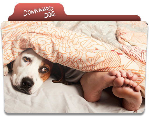 Downward Dog TV Series Folder Icon by kimojee on DeviantArt