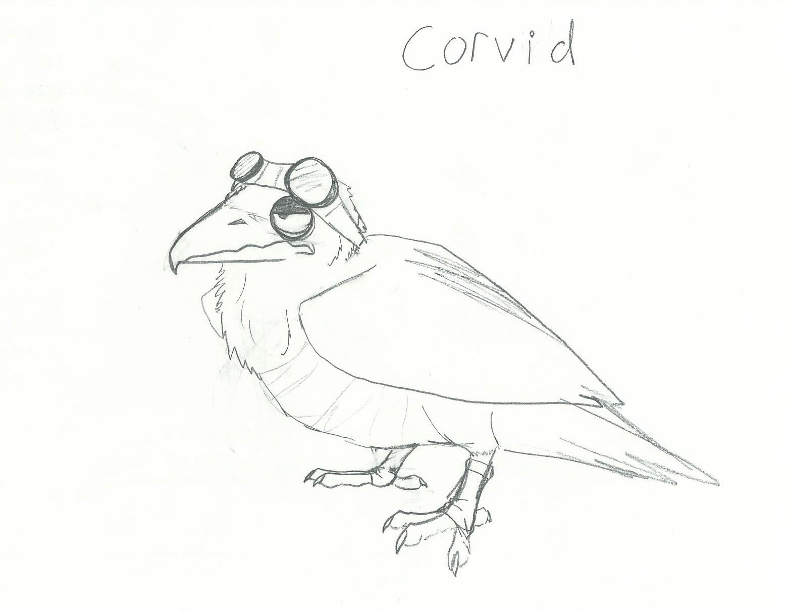 Corvid by suwanee on DeviantArt