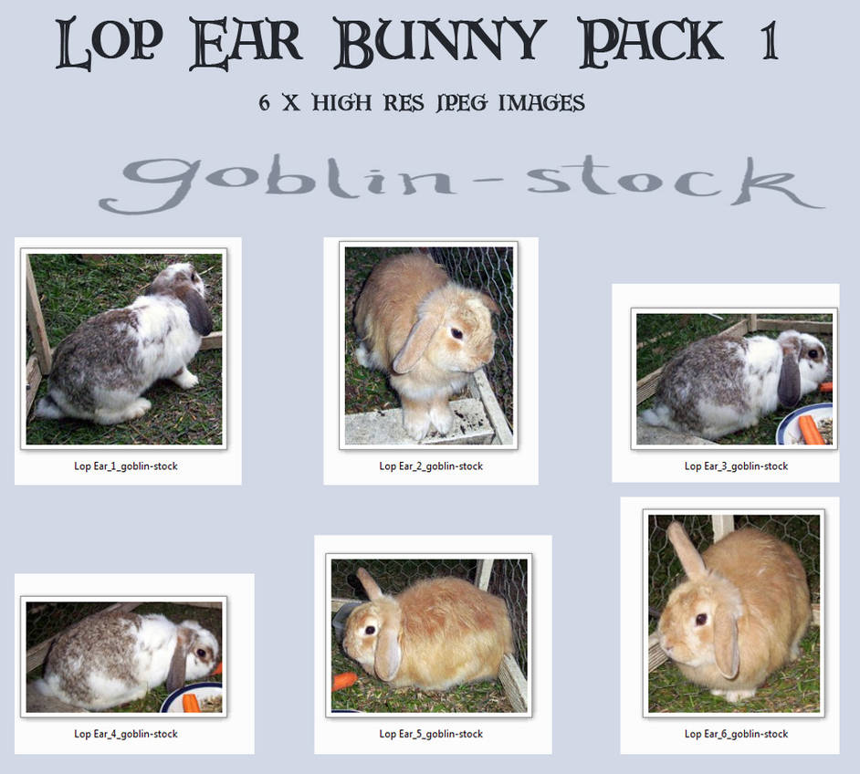 Lop Ear Bunny Pack 1 by GoblinStock on DeviantArt