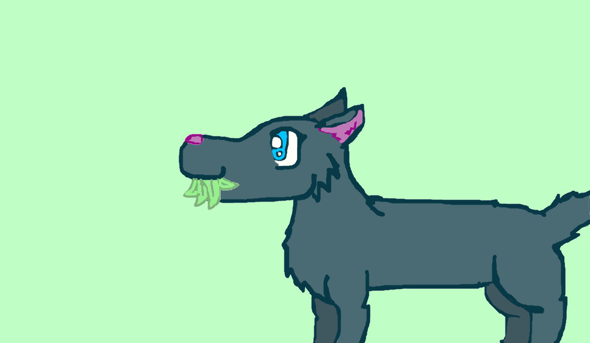 Ashpaw by Tyto-Alba11704 on DeviantArt