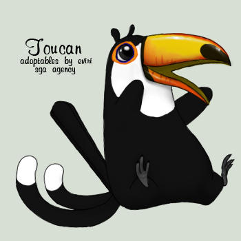 toucan temp by mikilia on DeviantArt
