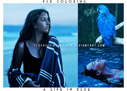 A LIFE IN BLUE |psd coloring| by strangerintubarrio on DeviantArt