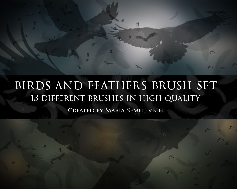 Birds and feather brush set by MariaSemelevich on DeviantArt
