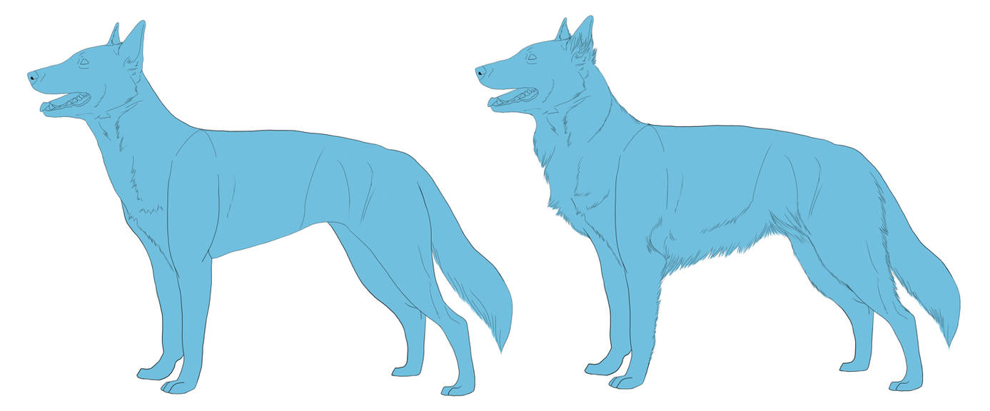 Dutch Shepherd Line Art by ElitniStraze on DeviantArt