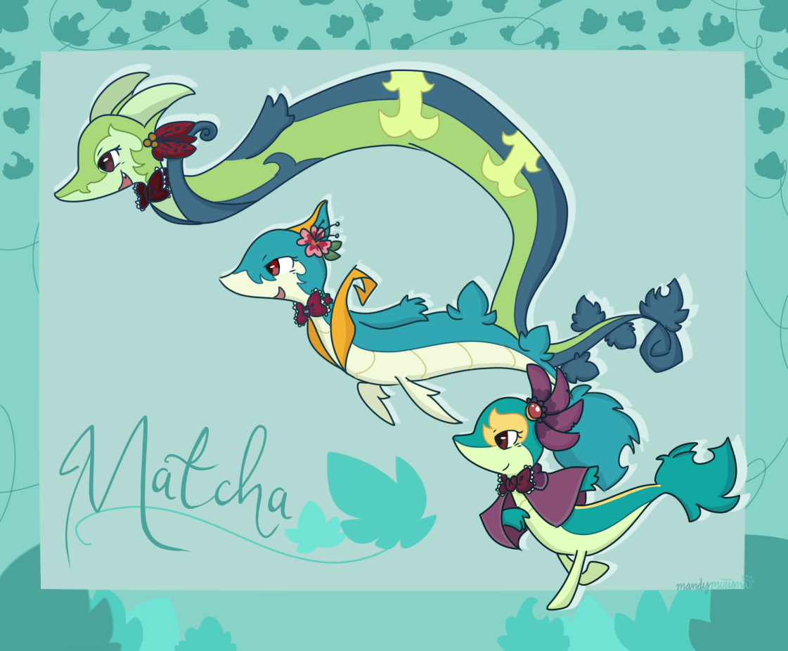 The stages of Matcha by MandyMiriana on DeviantArt