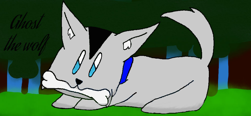 Ghost the Wolf by Fallen-Angel-101 on DeviantArt