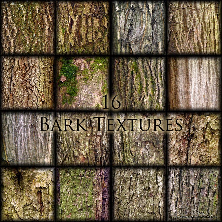 Bark textures by 00AngelicDevil00 on DeviantArt